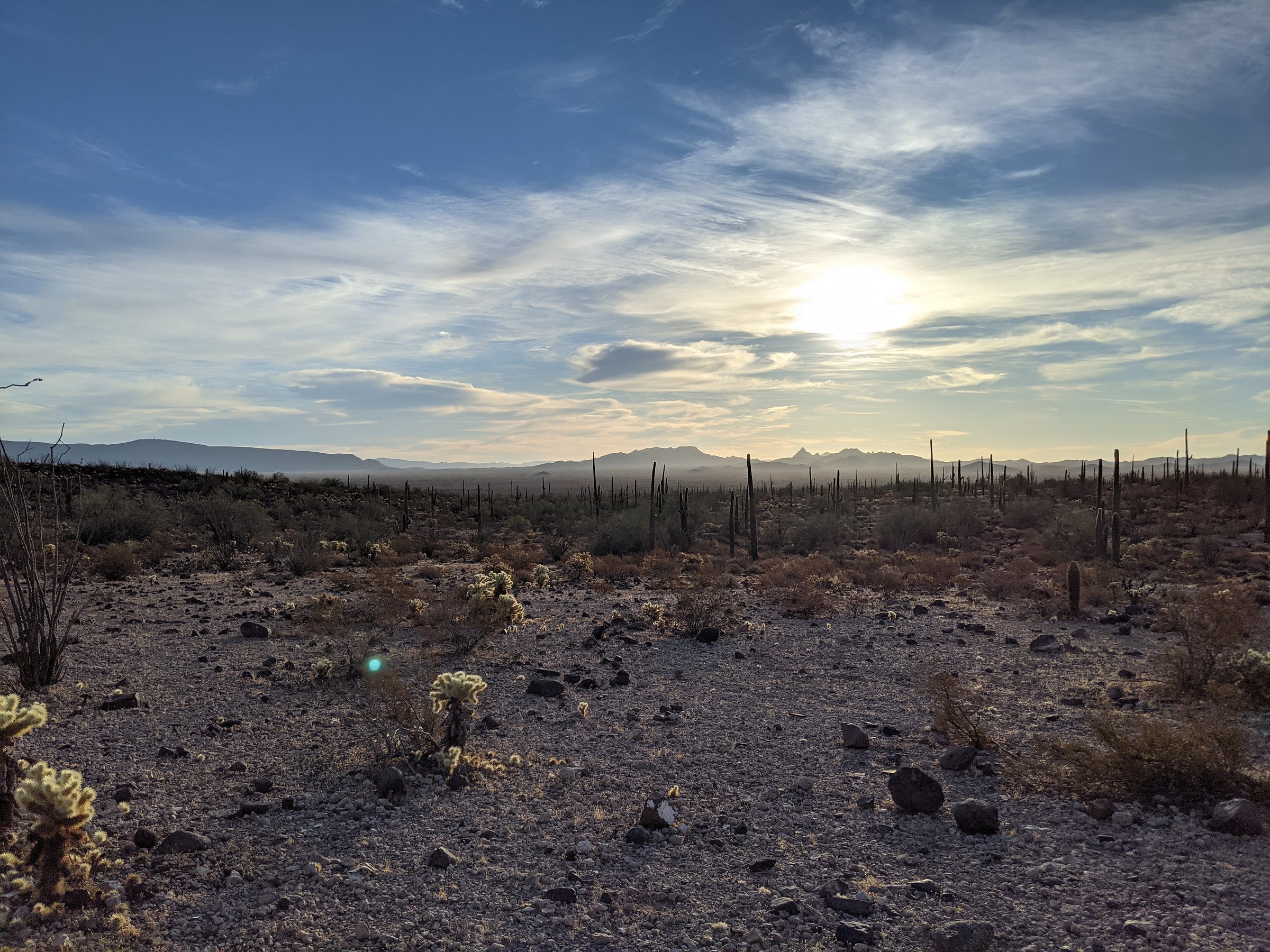Jonathan Crisman – Medium