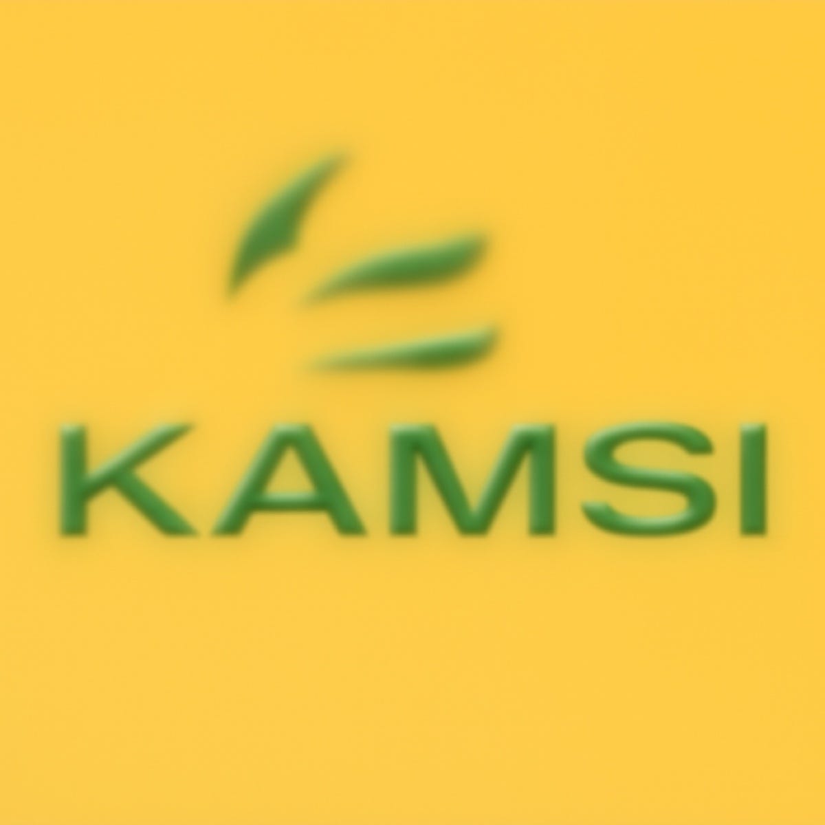 Kamsi’s Pen 🫧 – Medium