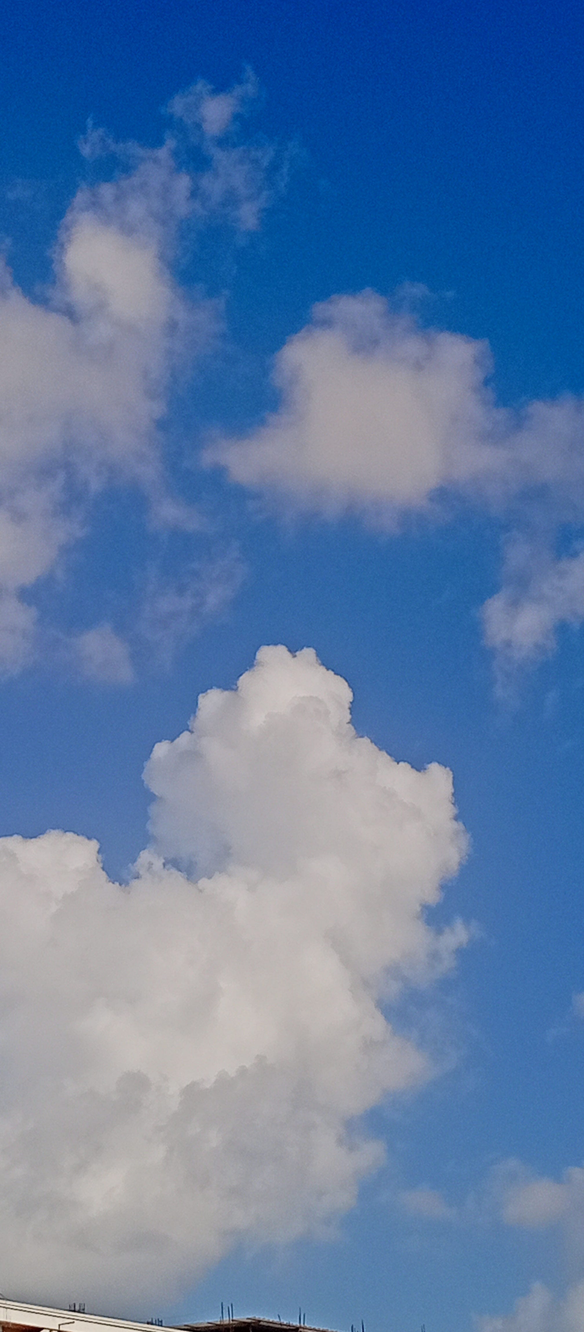 Hena Rose – Medium