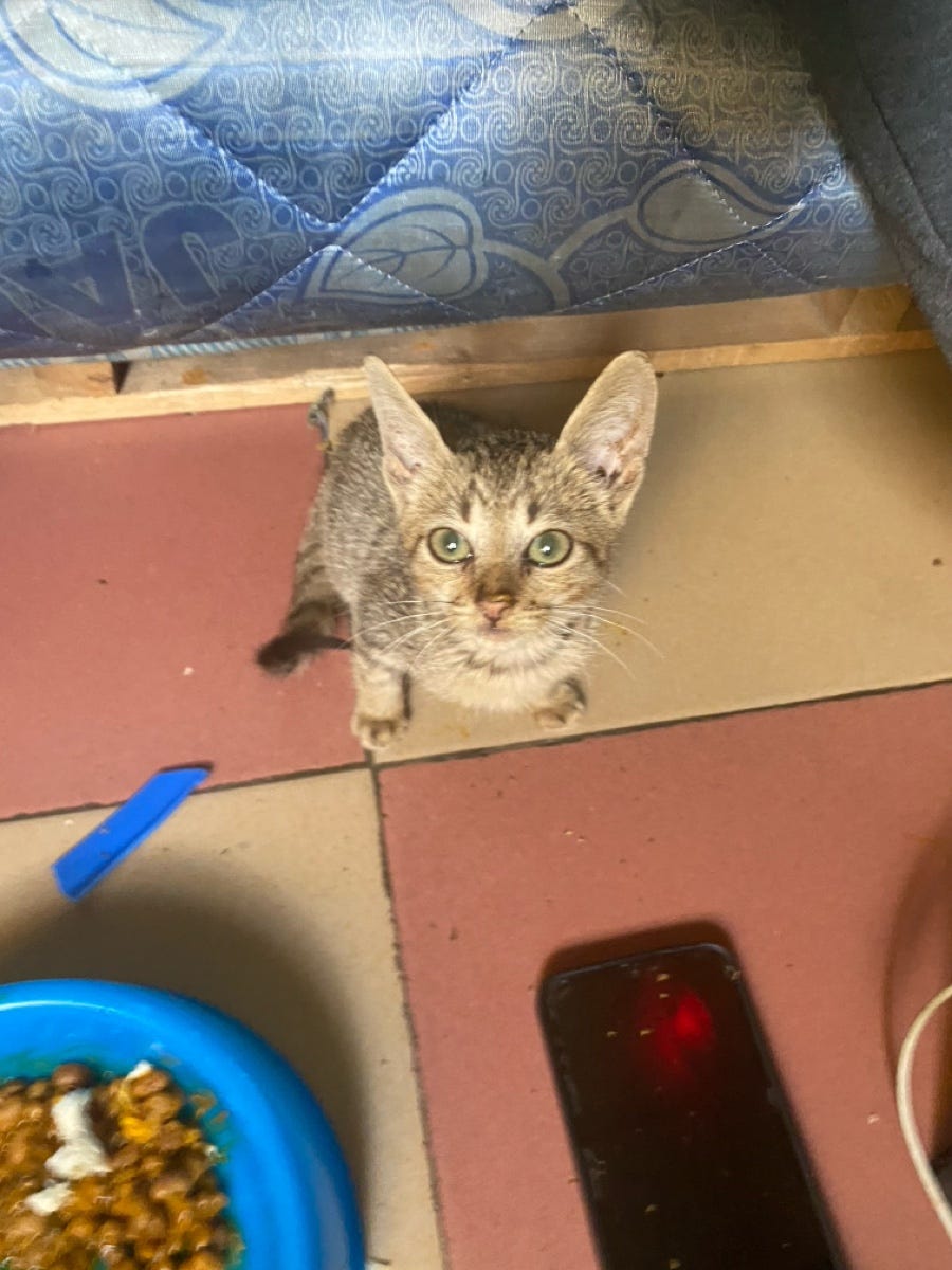 Inyang Benjamin – Medium