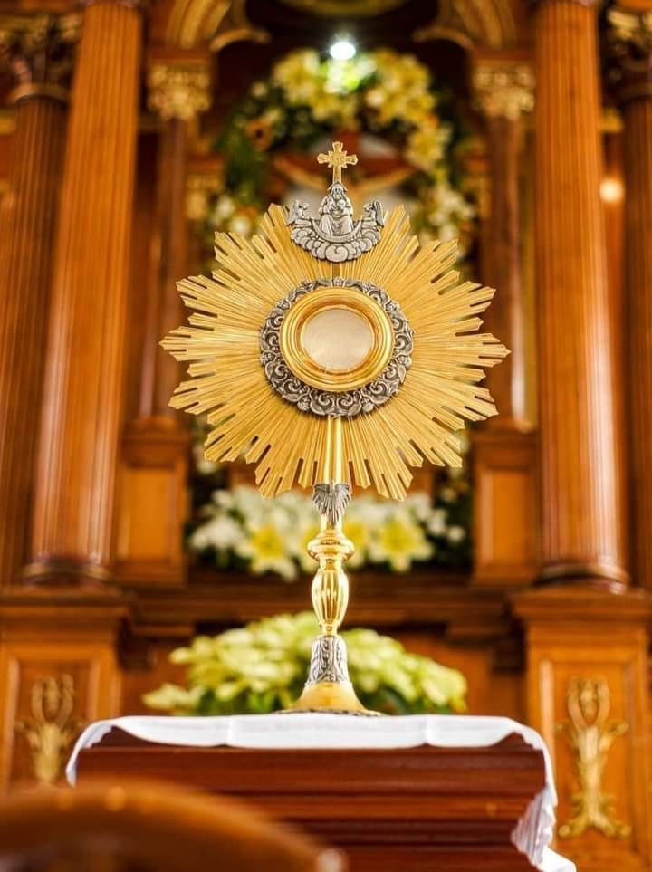 CATHOLIC FAITH WITNESSES – Medium