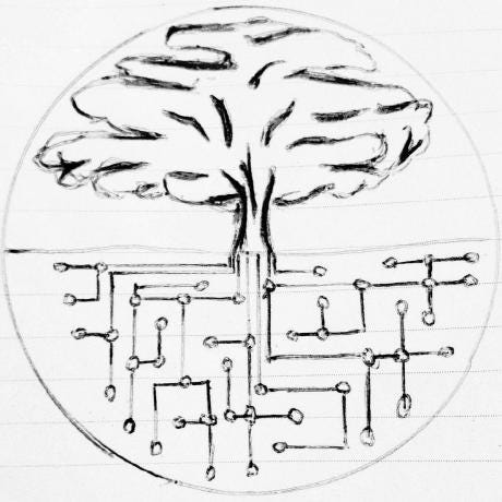 Root Systems – Medium