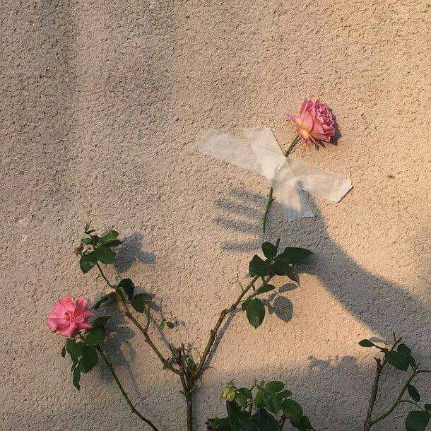 Bhumika karki – Medium