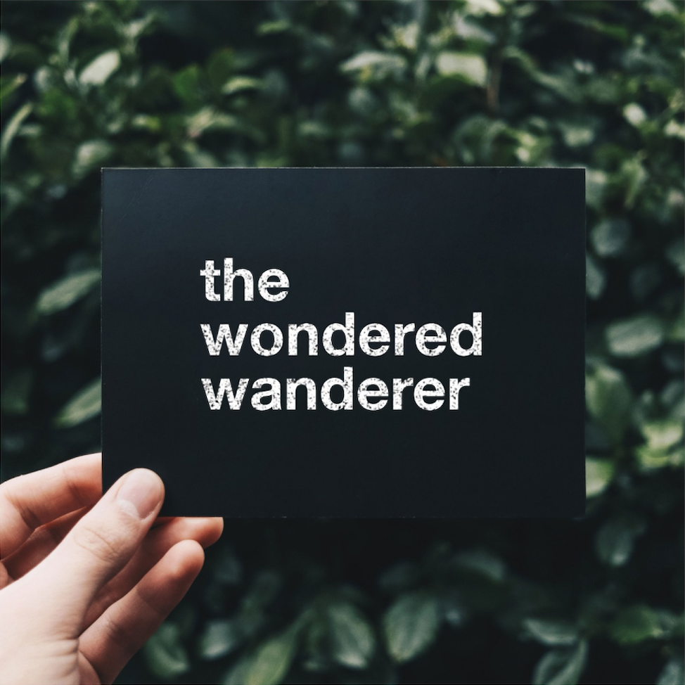 the wondered wanderer on Medium curated some lists