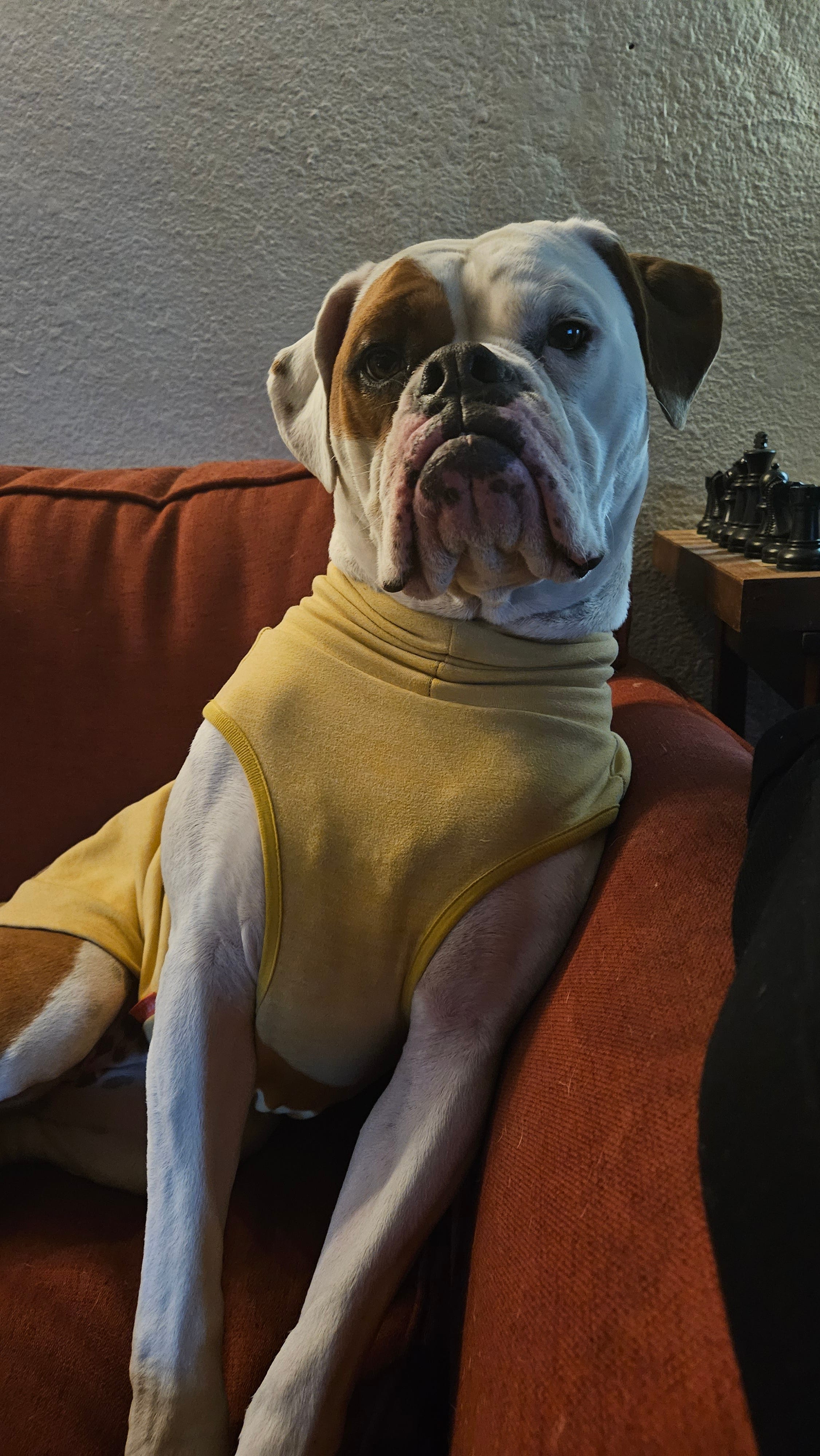 Omen Anders – Medium