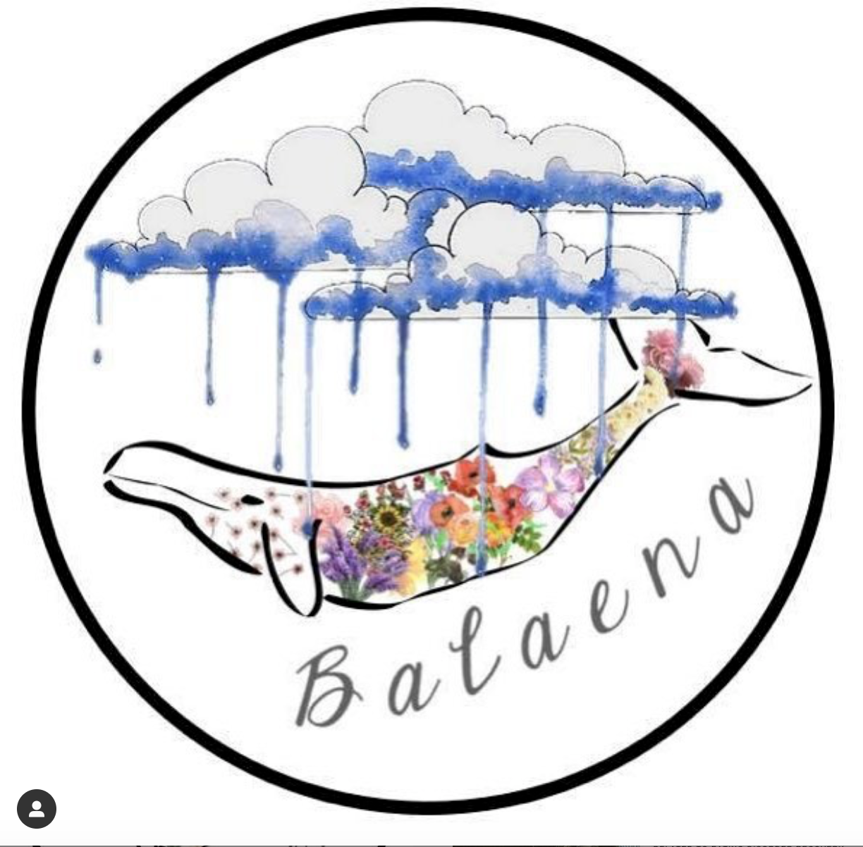 Balaena – Medium