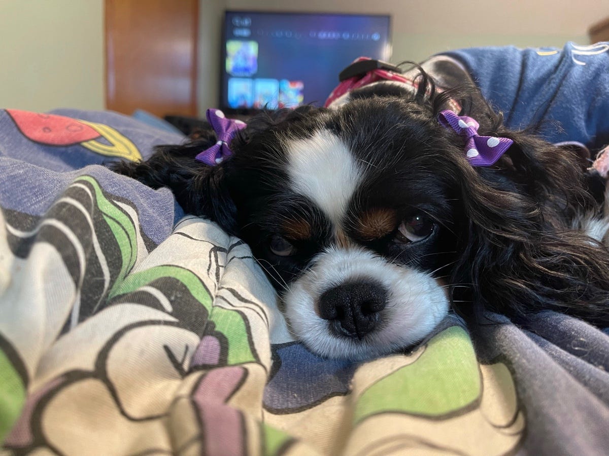 About – Amber Vaden Delgado – Medium