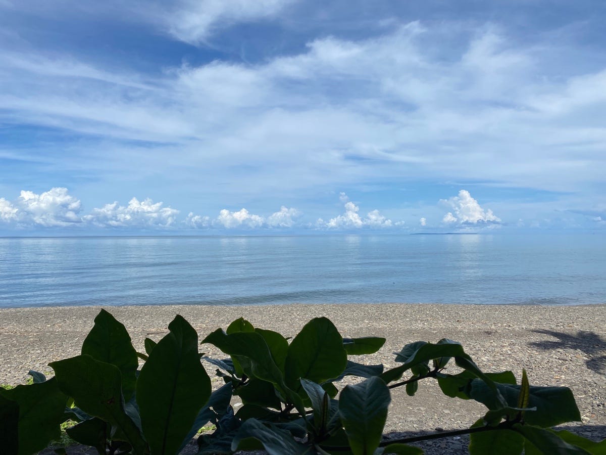 Minna Huang on Medium curated some lists