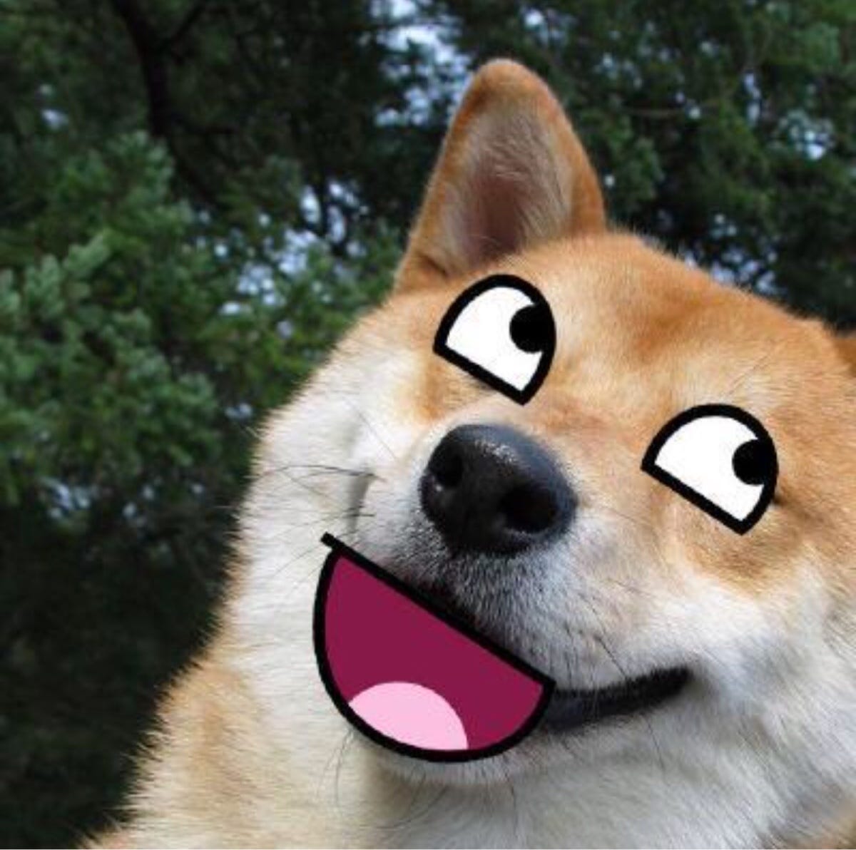 Tu Tran on Medium curated some lists