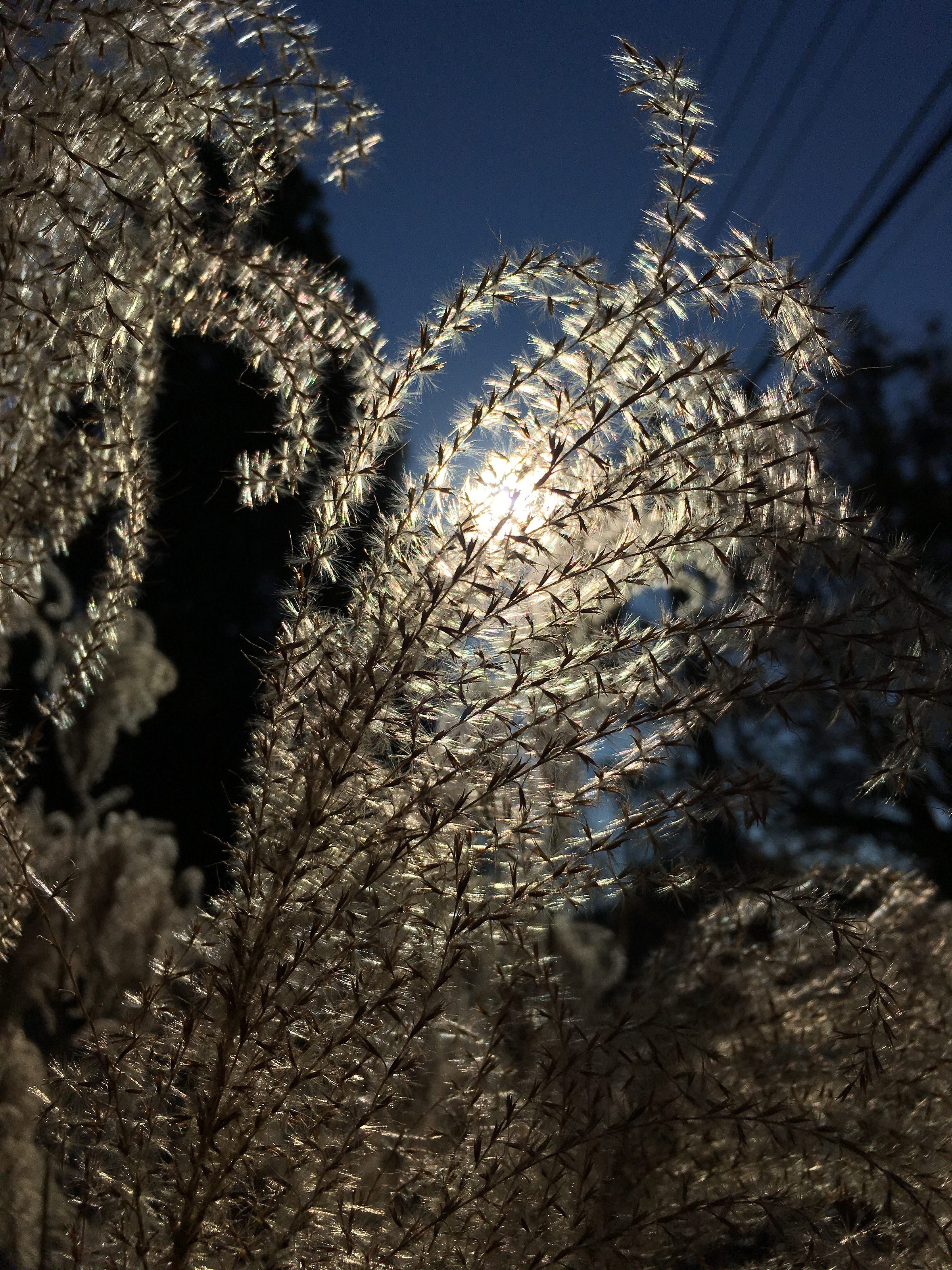 Winston Lu – Medium