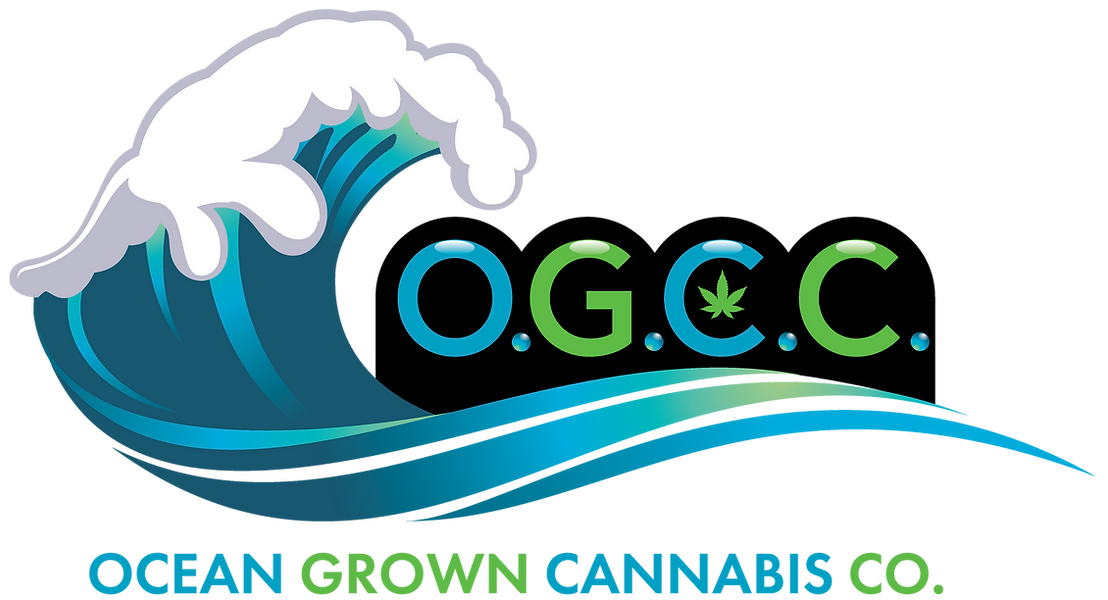 Ocean Grown Cannabis Company – Medium
