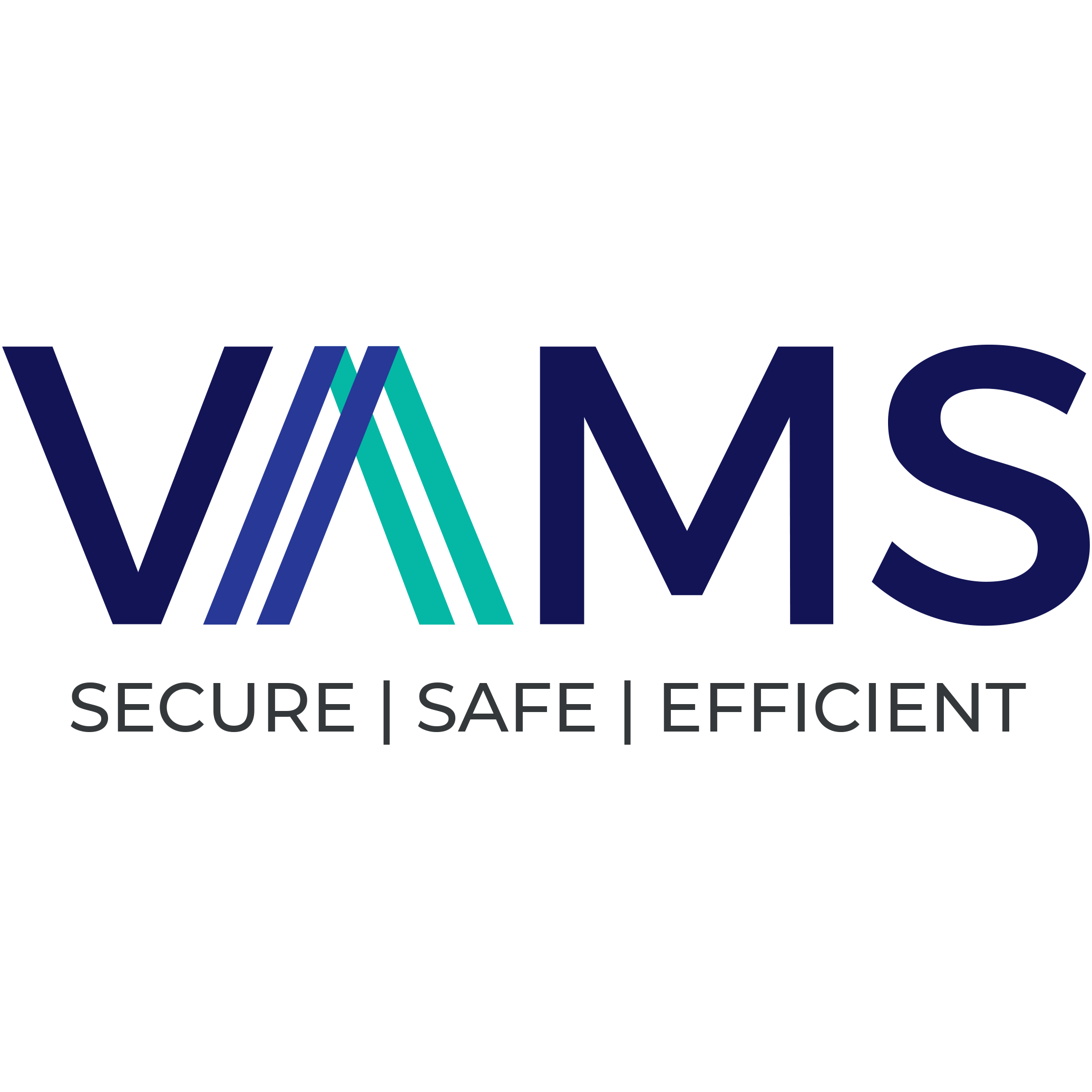 VAMS Global Medium