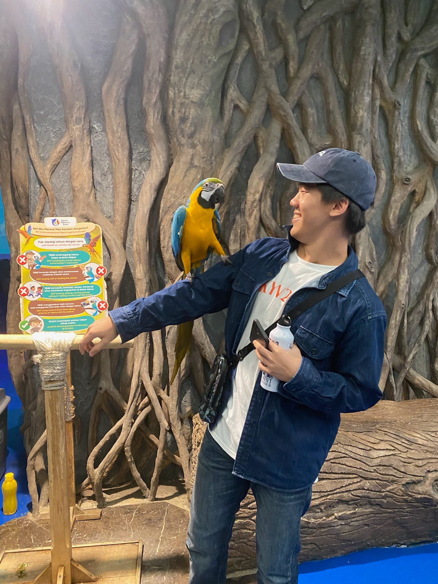 Michael Indra – Medium