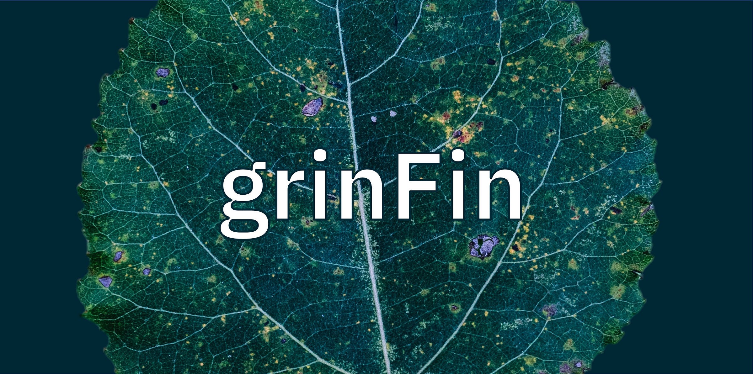 GRIN Fin - Grüne Innovative Finanzen – Medium