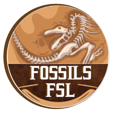 FossilsToken – Medium
