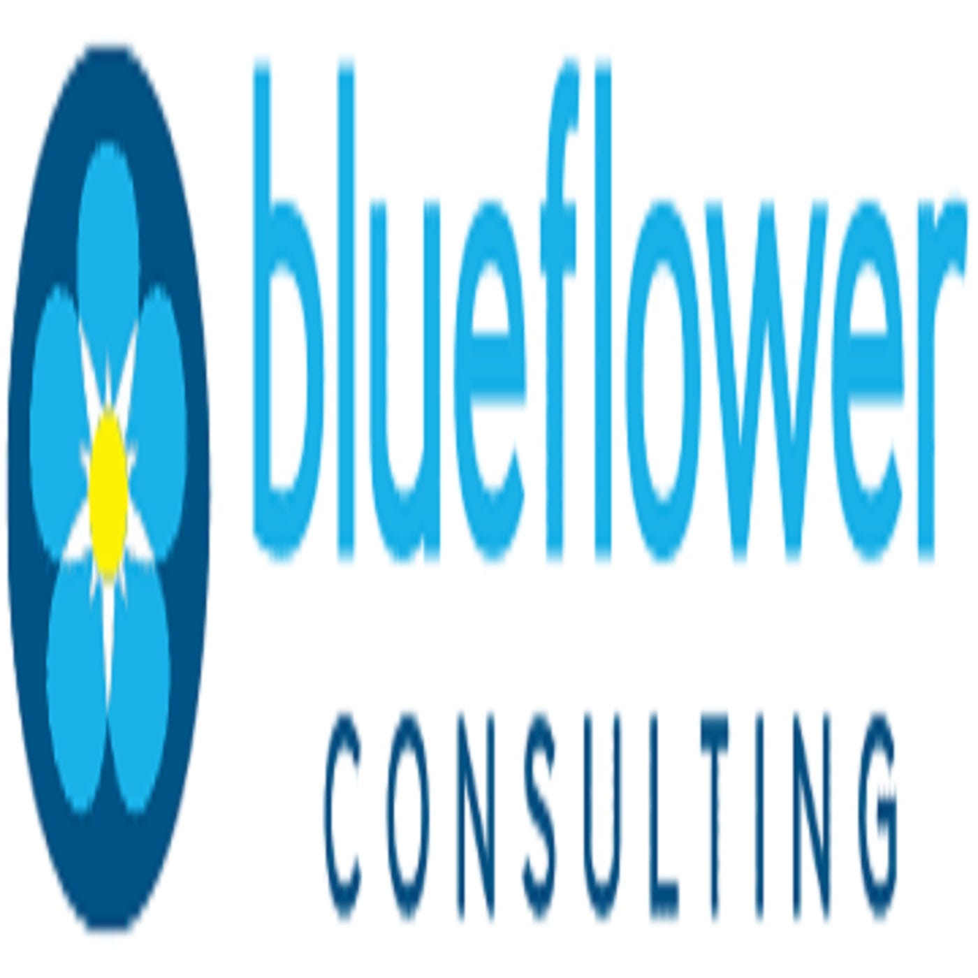 Blueflower Consulting – Medium
