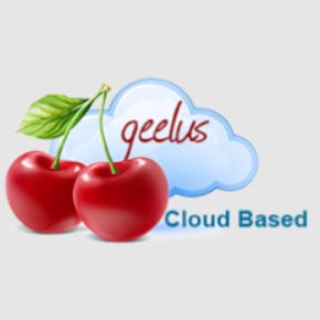 Geelus Cloud Based – Medium
