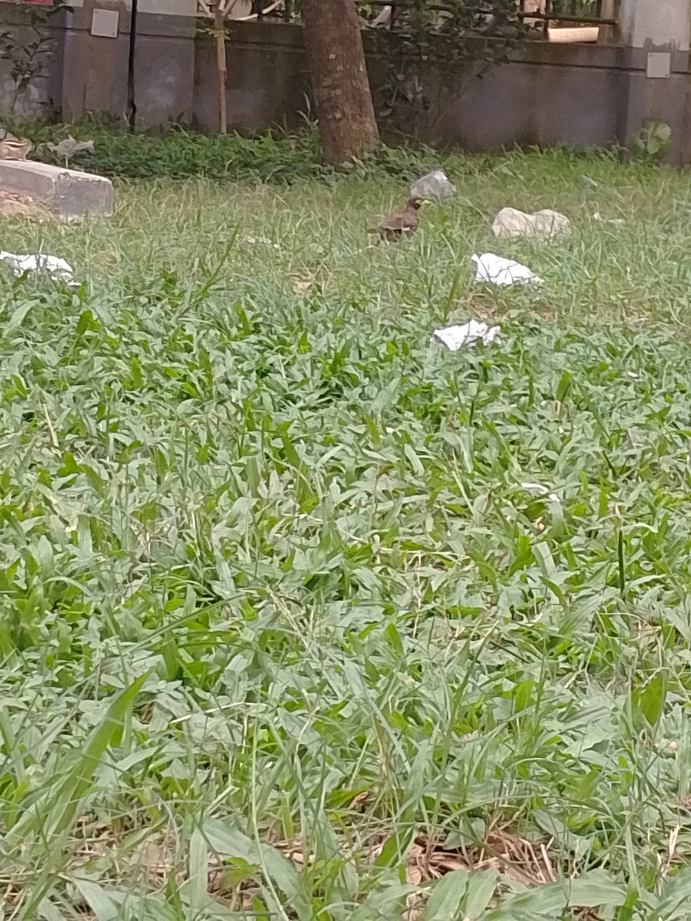 Juthi Islam – Medium