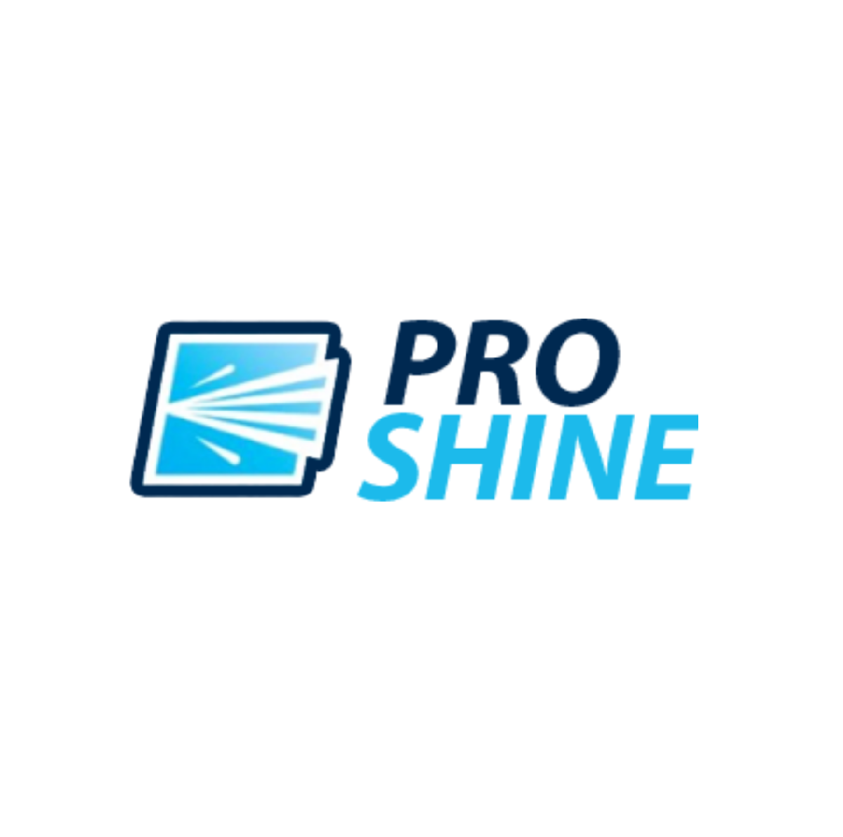 Pro Shine Professional Cleaning – Medium