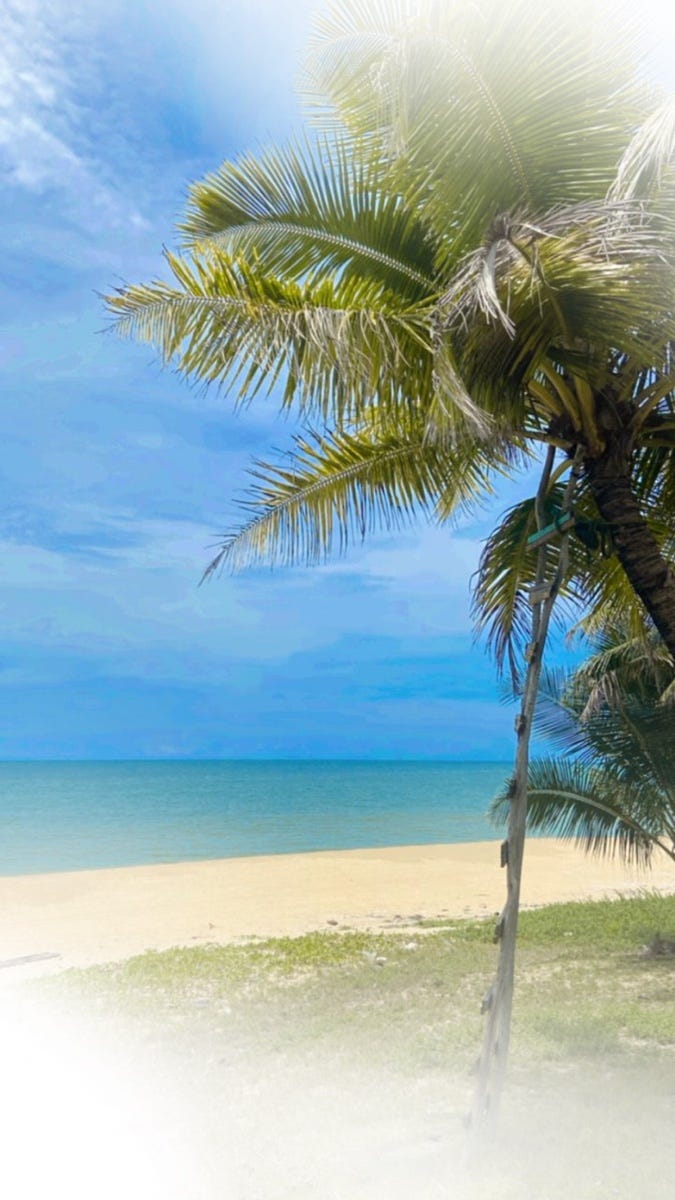 Adam Shukri – Medium