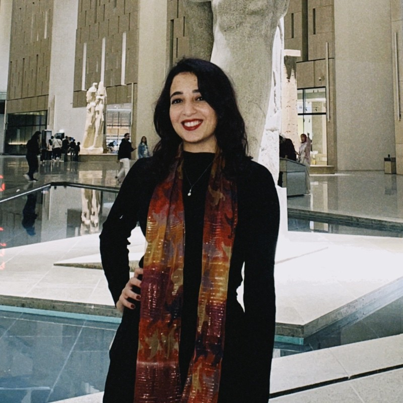 Dina A. Zekry – Medium