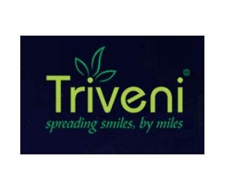 Triveni Group – Medium