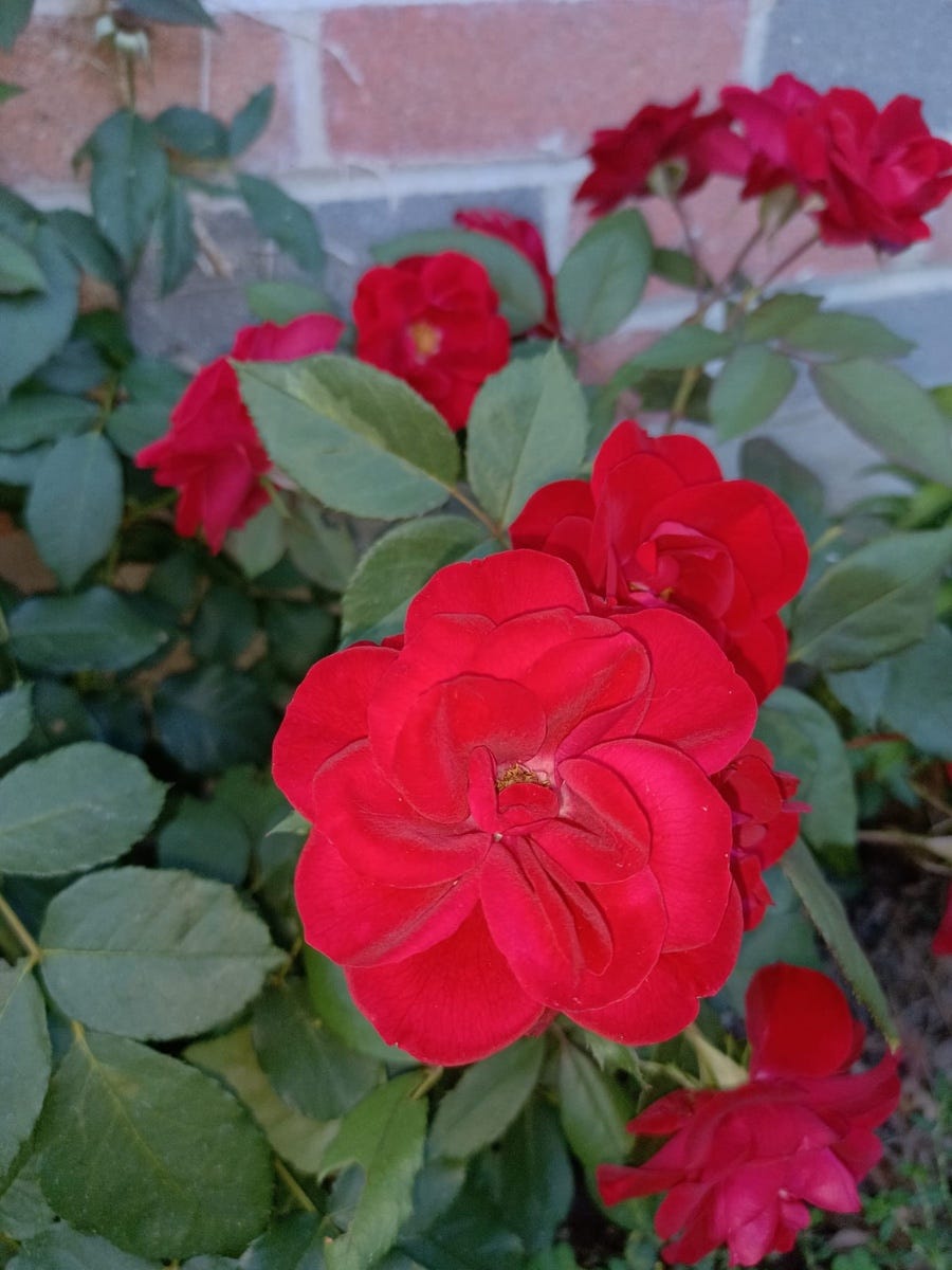 Saba Haider – Medium