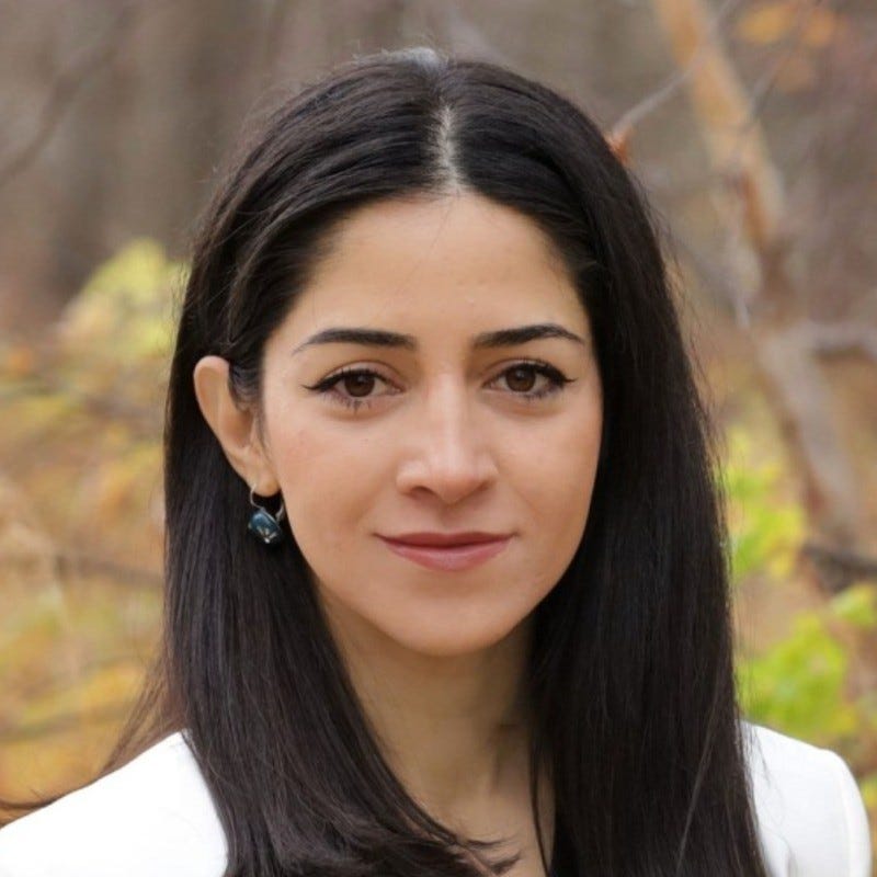 Elnaz Aliasl – Medium