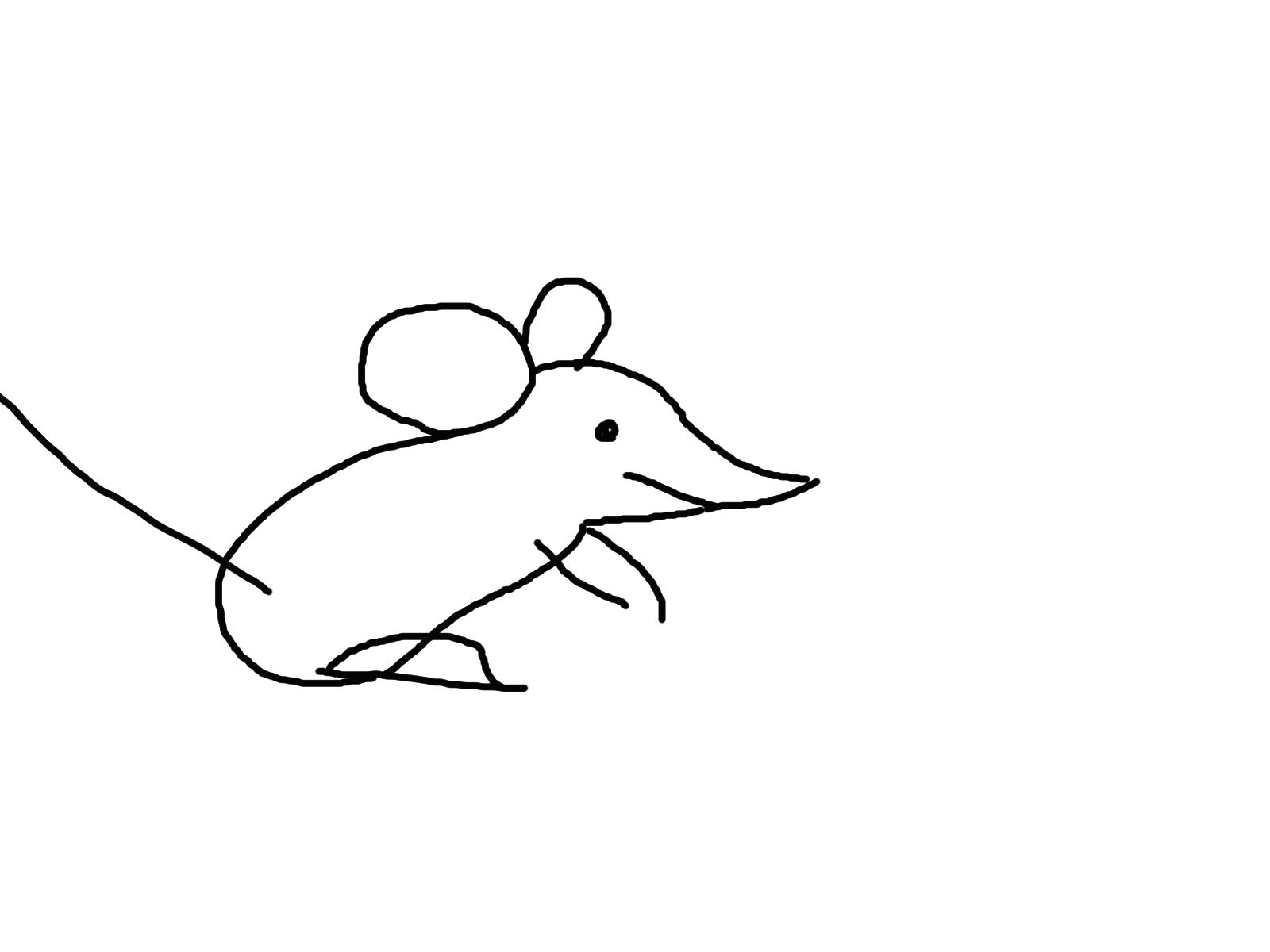 Rats Medium rats-medium