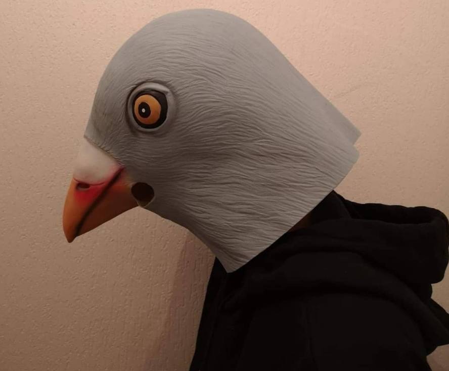 Pigeoncodeur – Medium