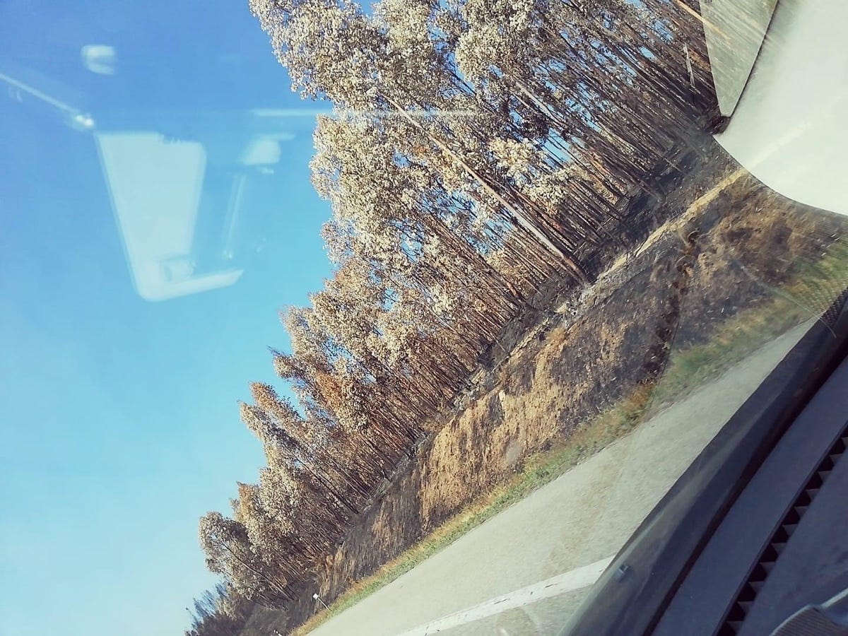 Intan Suryani – Medium