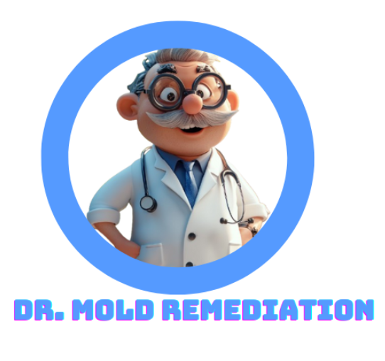Dr Mold Remediation – Medium