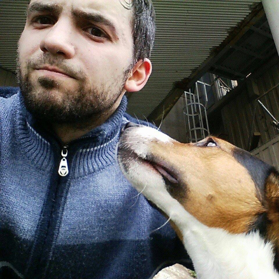 Radu Vlad – Medium