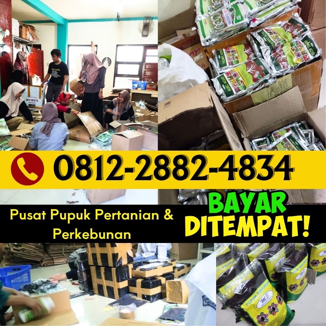Distributor Obat Pertanian – Medium