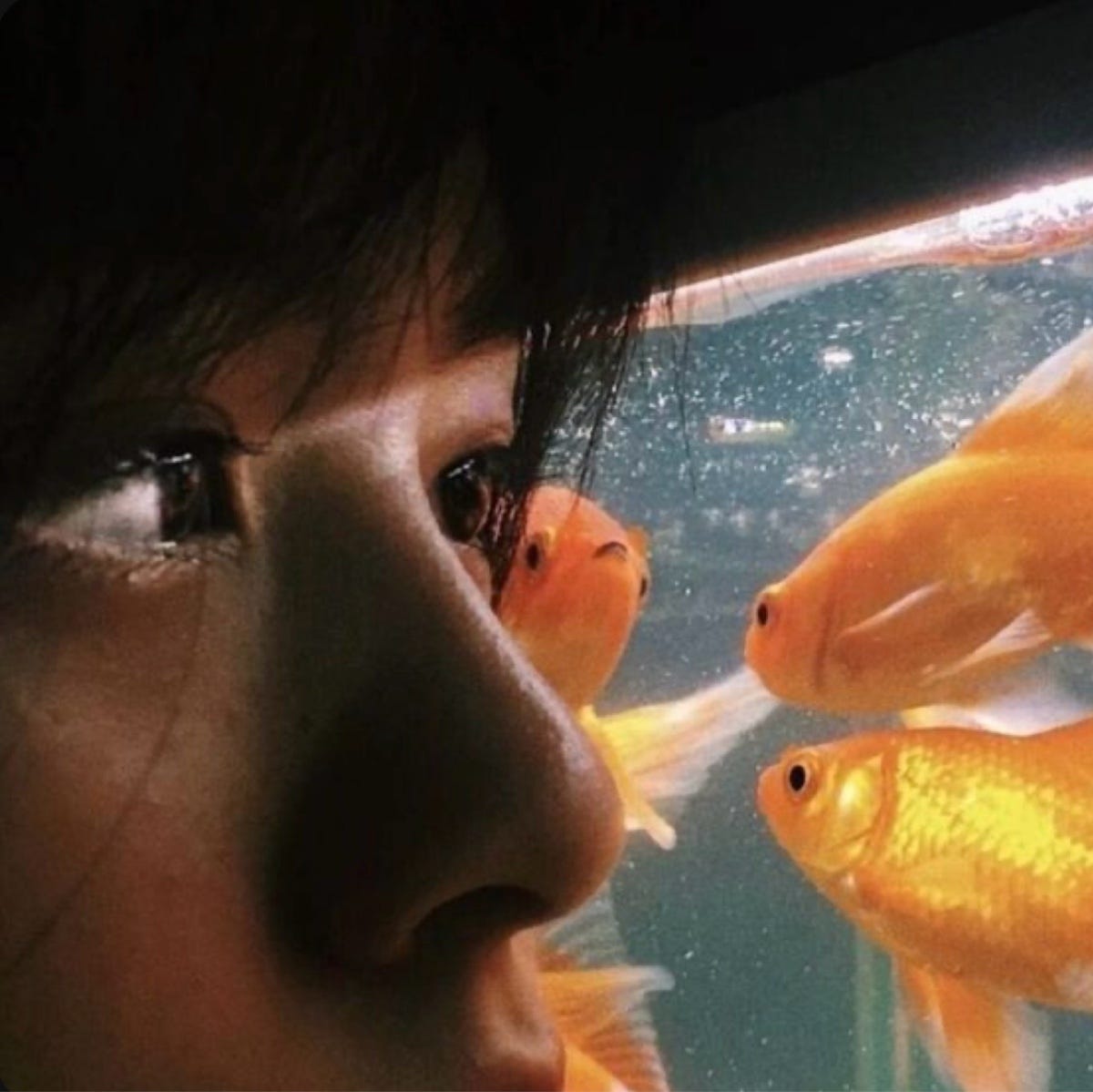 dawn's drafts – Medium