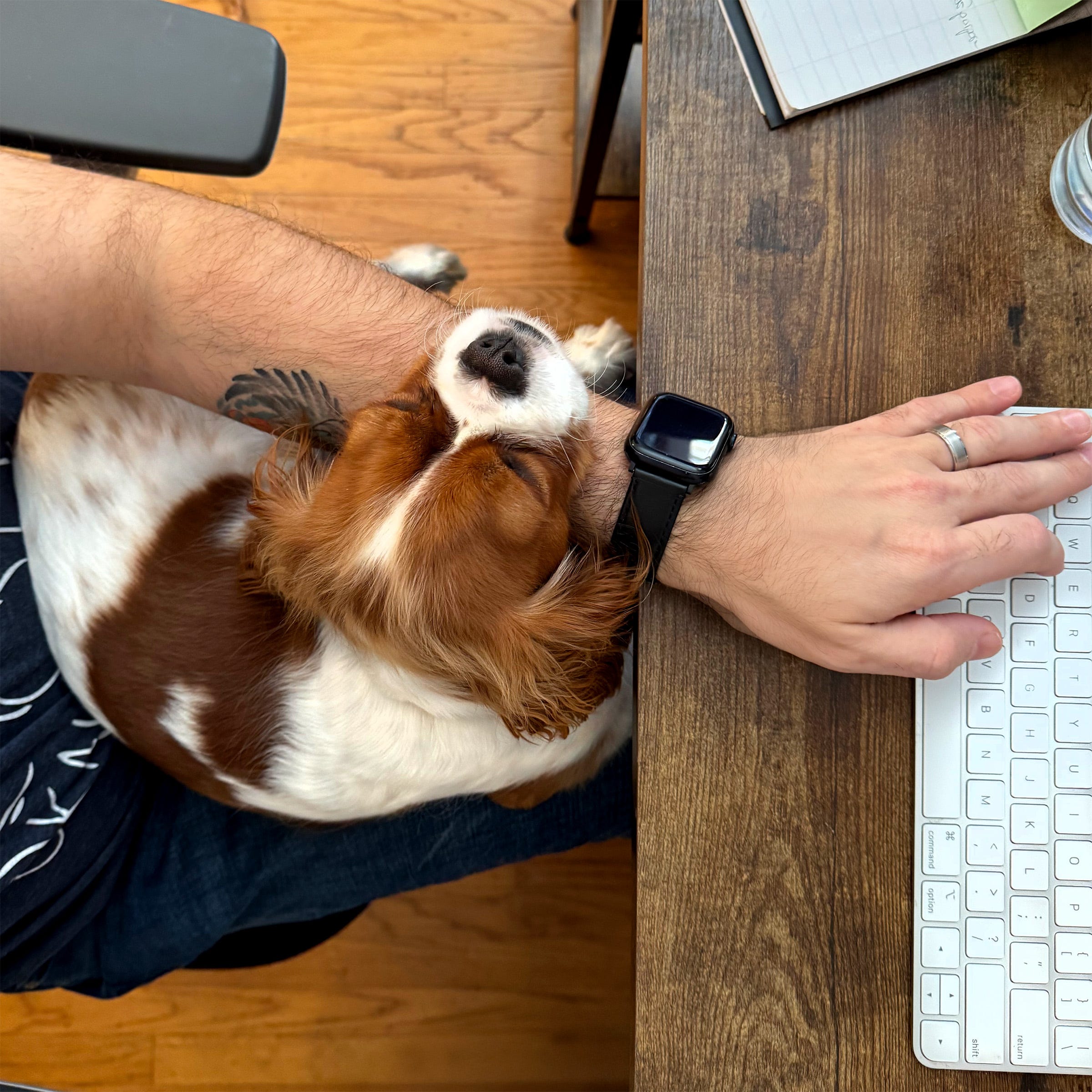 About – Marcello De Feo – Medium