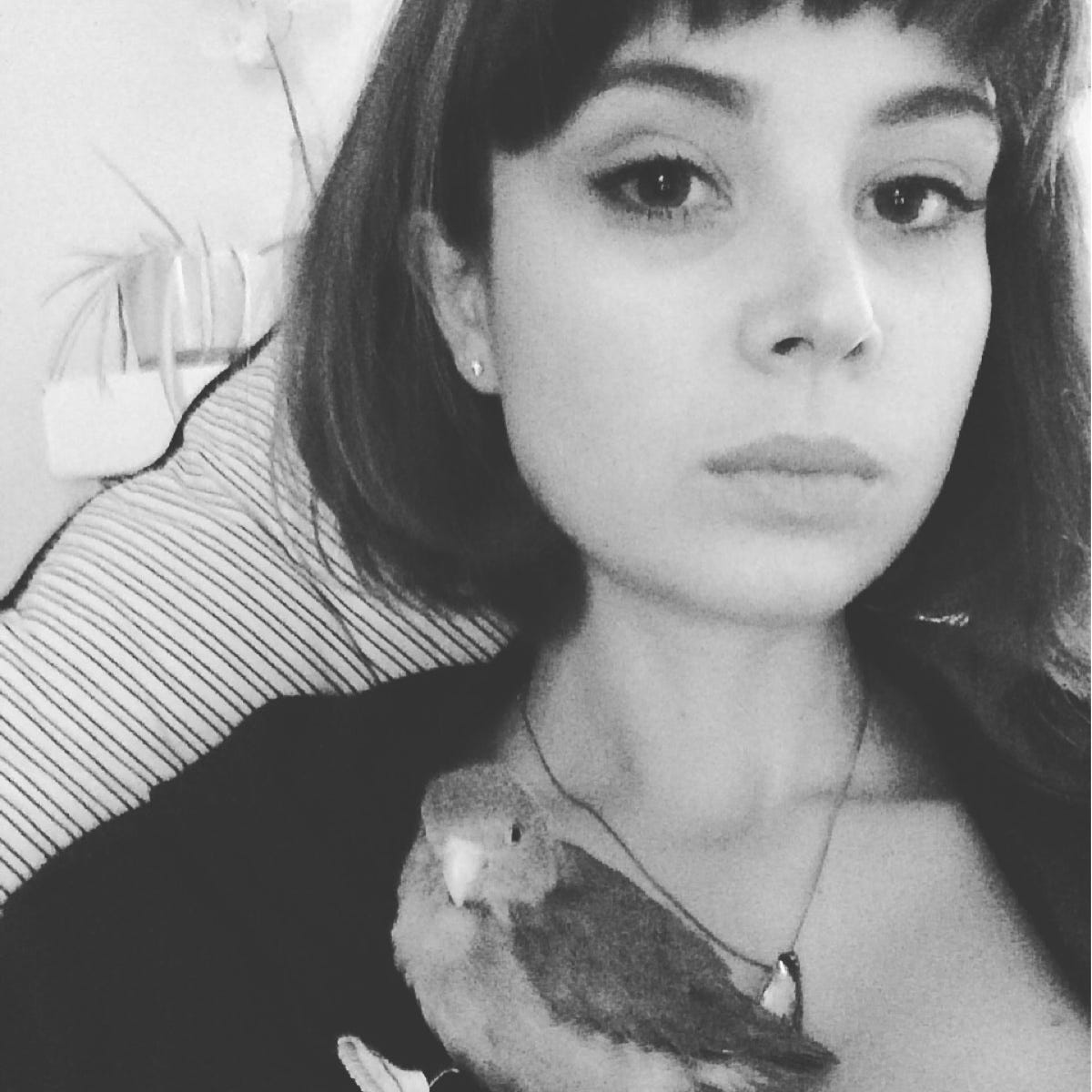 Sara Frank – Medium