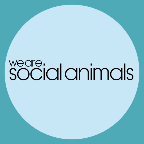 We are Social Animals – Medium
