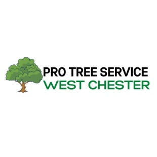 TREE SERVICE WEST CHESTER – Medium