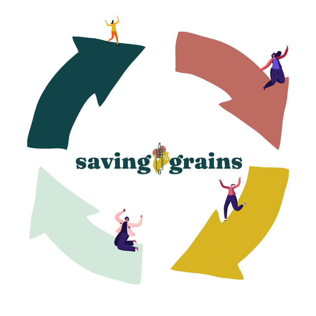 Saving Grains – Medium