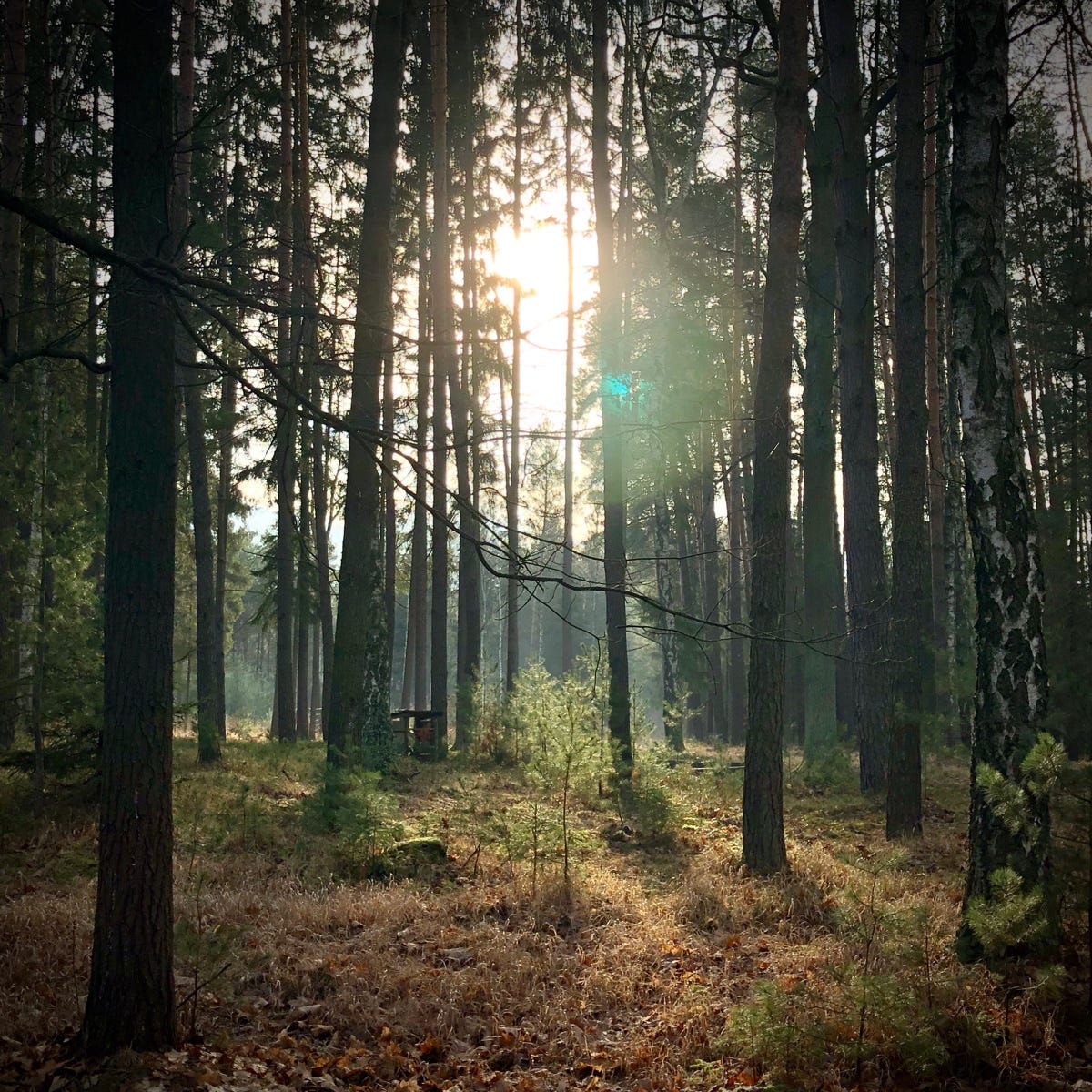 Mirku on Medium curated some lists