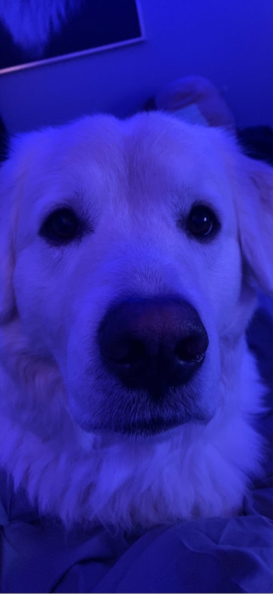 Lisa Beth – Medium