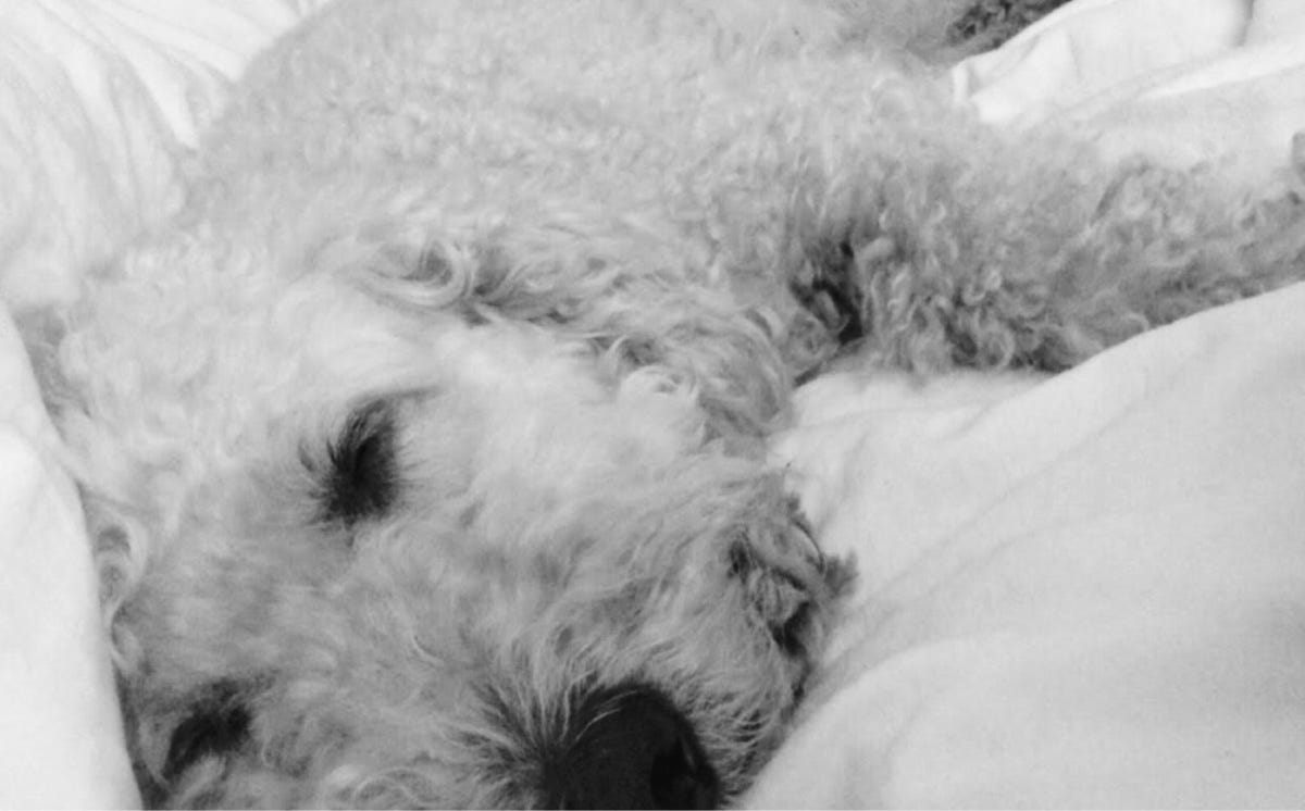 Darcy J. Atkinson – Medium