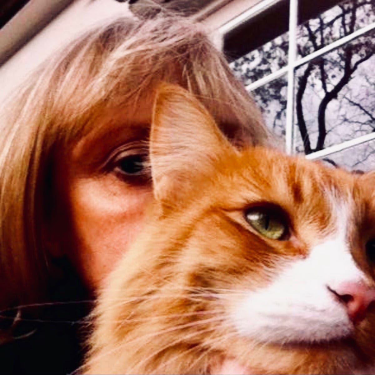 Laura Cella – Medium