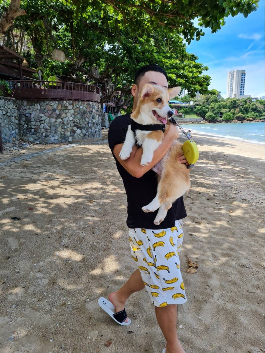 Michael Huang on Medium curated some lists