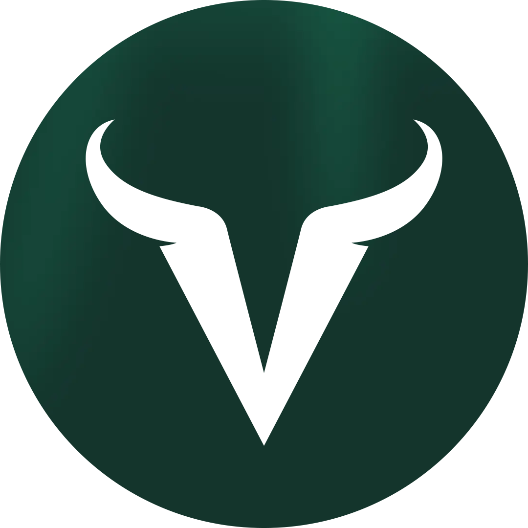 Installateur Viking – Medium