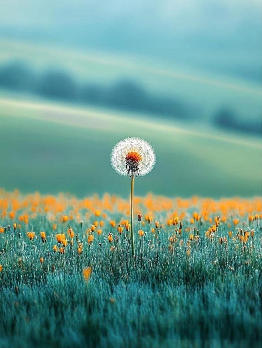 Richard Jackson – Medium