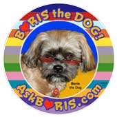 About – Ask Boris the Dog – Medium