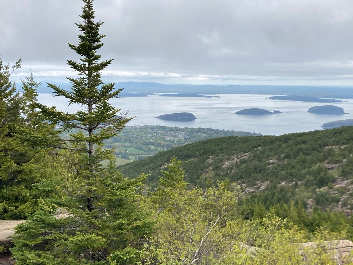 Quintin Caldwell on Medium curated some lists