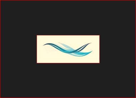 Blue Ocean Capital Advisors – Medium